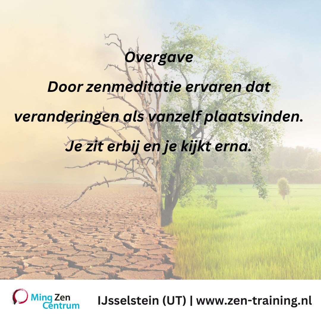 Zen Blog van Ming Zen Centrum | IJsselstein (Utrecht) | Nieuwegein